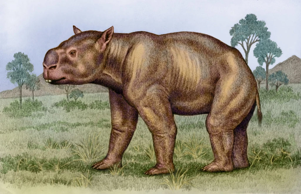 Diprotodon | Prähistorische Lebewesen und Erdzeitalter Wiki | Fandom