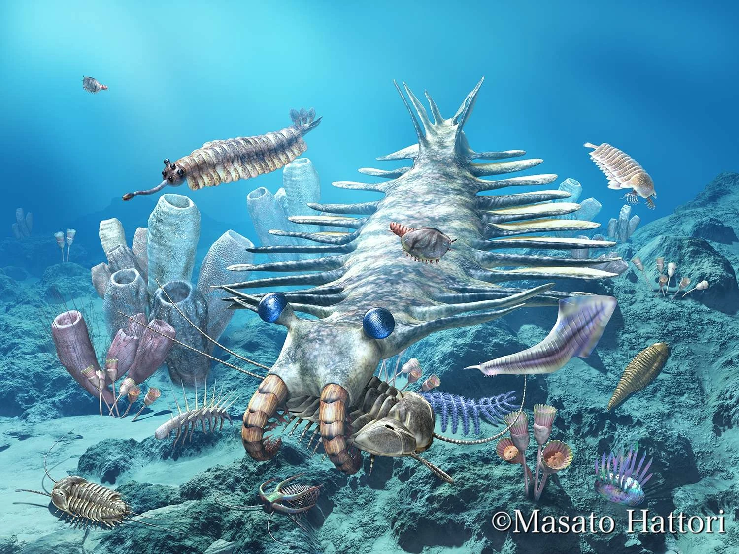 Paläozoikum | Prähistorische Lebewesen und Erdzeitalter Wiki | Fandom