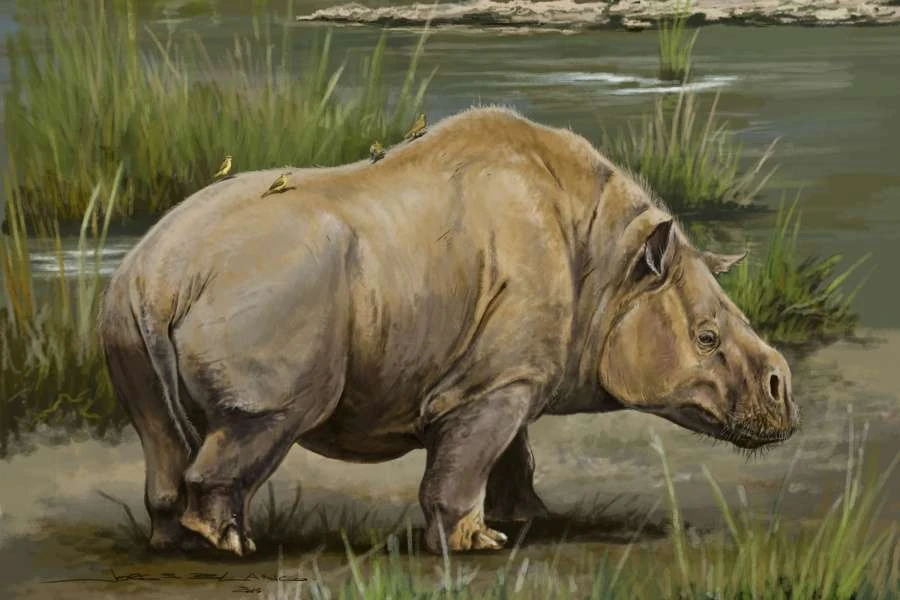 Toxodon | Prähistorische Lebewesen und Erdzeitalter Wiki | Fandom
