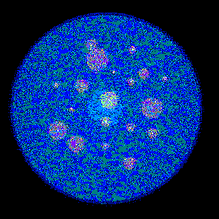 Wekaverse | Prefixed Verse Wiki | Fandom