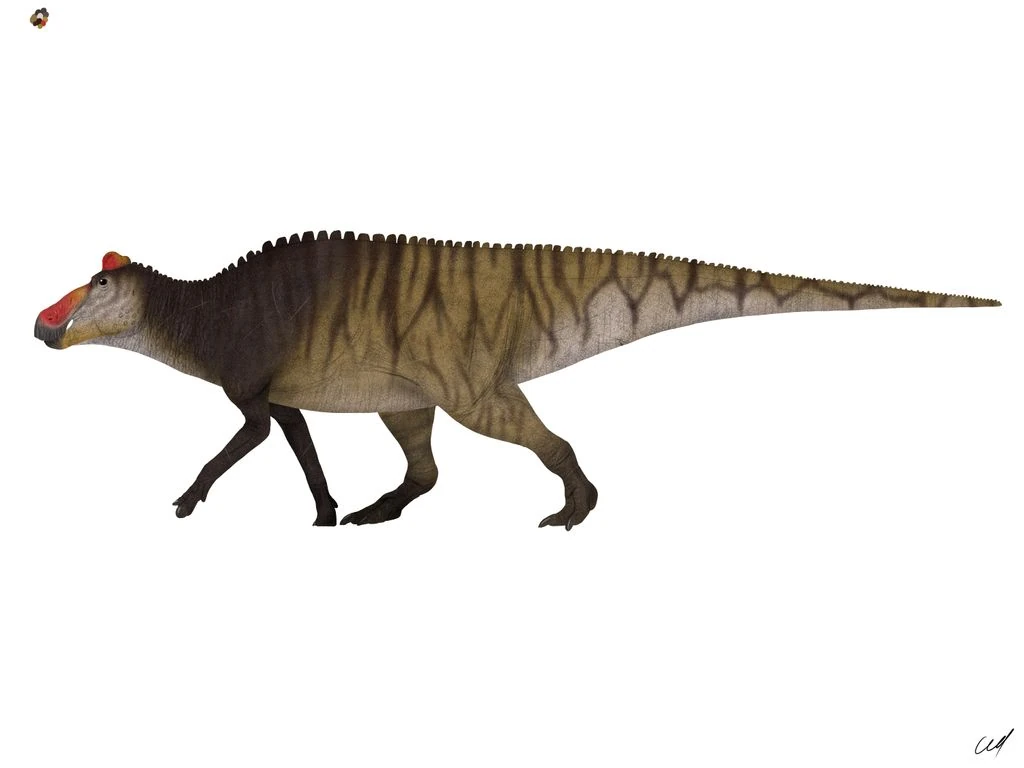 Edmontosaurus | Prehistoric Life Wiki | Fandom