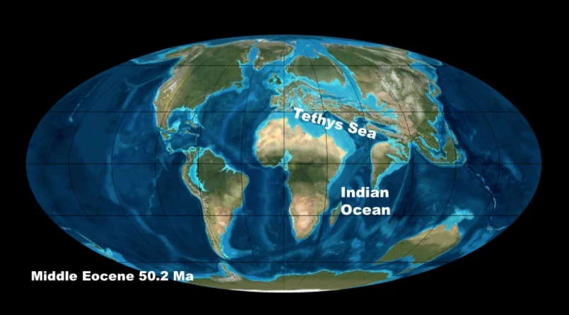 Tethys Sea | Prehistoric Life Wiki | FANDOM powered by Wikia