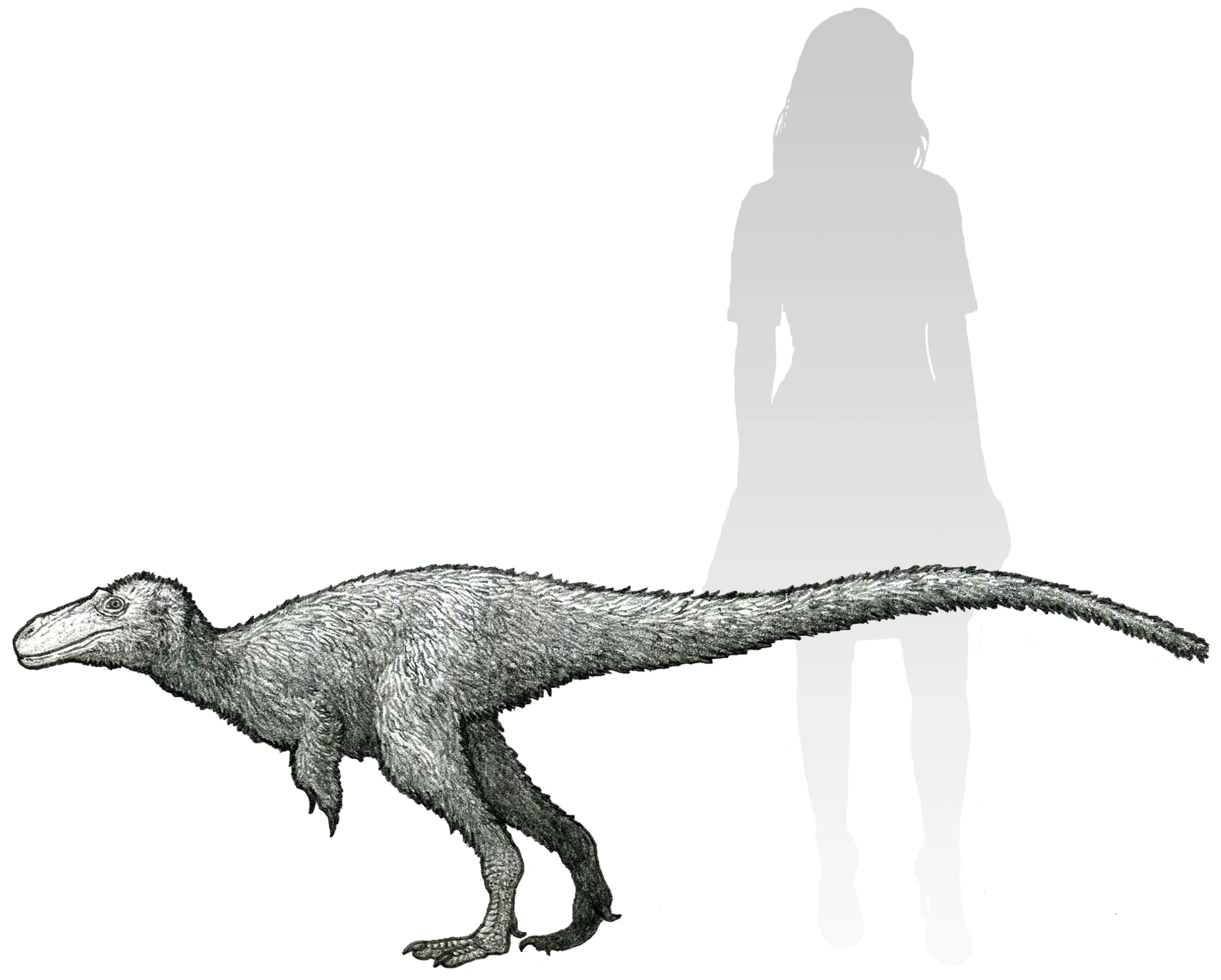 Zunityrannus | Prehistoric Wiki | Fandom