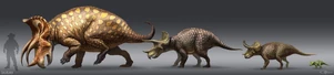Triceratops | Prehistoric Wiki | Fandom