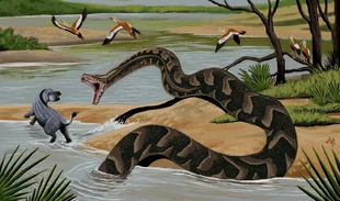 Madtsoia | Prehistoric Wiki | Fandom