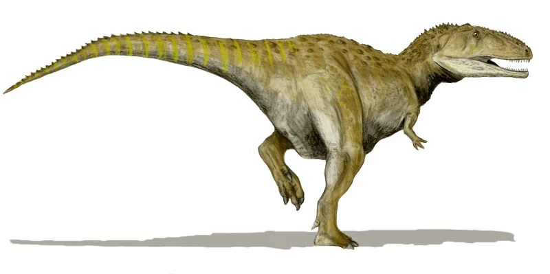 Mapusaurus | Prehistoric Wiki | FANDOM powered by Wikia