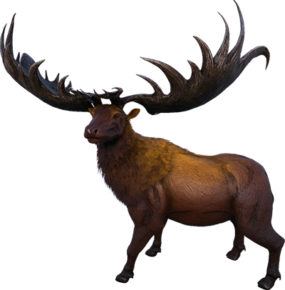 Megaloceros | Prehistoric Earth Wiki | Fandom