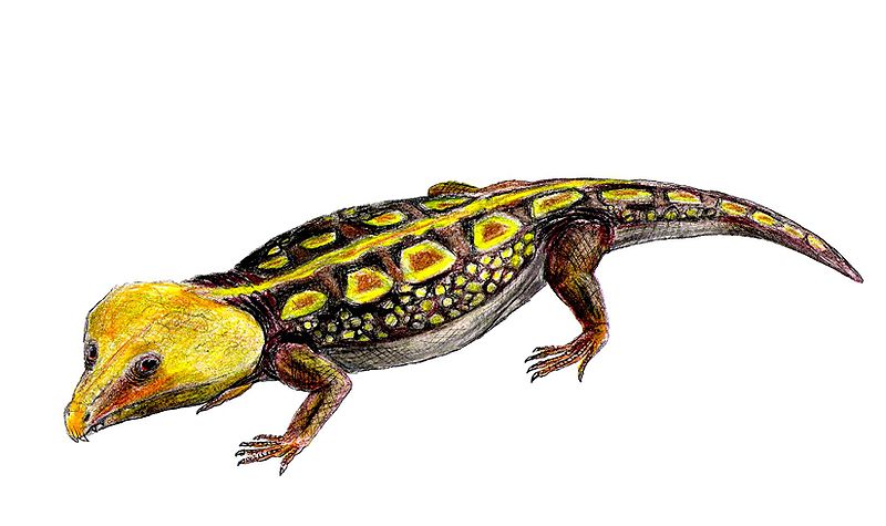 Labidosaurus Prehistoric Earth Wiki Fandom Powered By Wikia