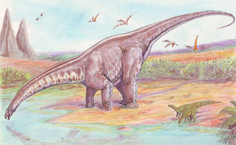 Apatosaurus | Prehistoric Earth Wiki | FANDOM powered by Wikia