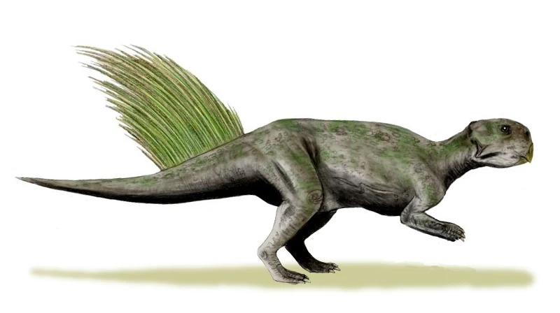 Psittacosaurus | Prehistoric Earth Wiki | FANDOM powered by Wikia