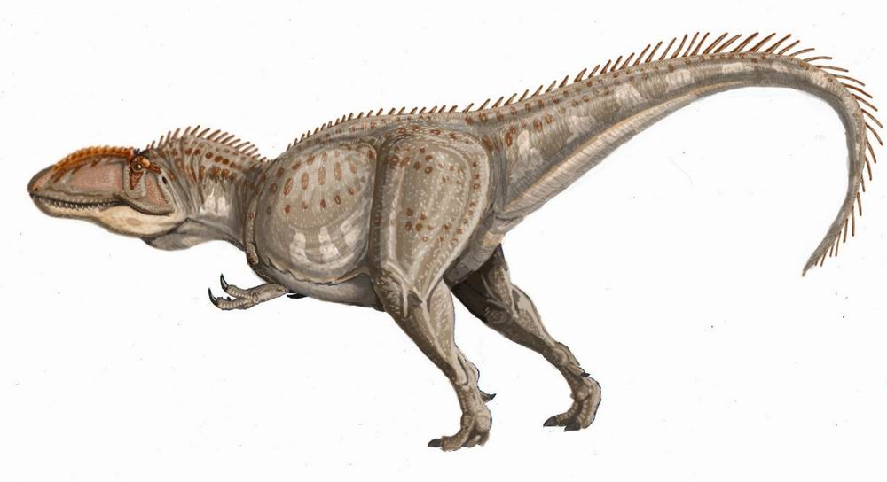 Giganotosaurus Prehistoric Earth Wiki Fandom Powered By Wikia