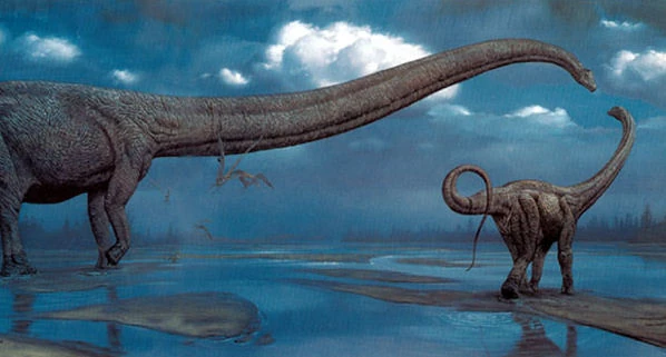Mamenchisaurus | Prehistoric Monsters Wiki | FANDOM powered by Wikia
