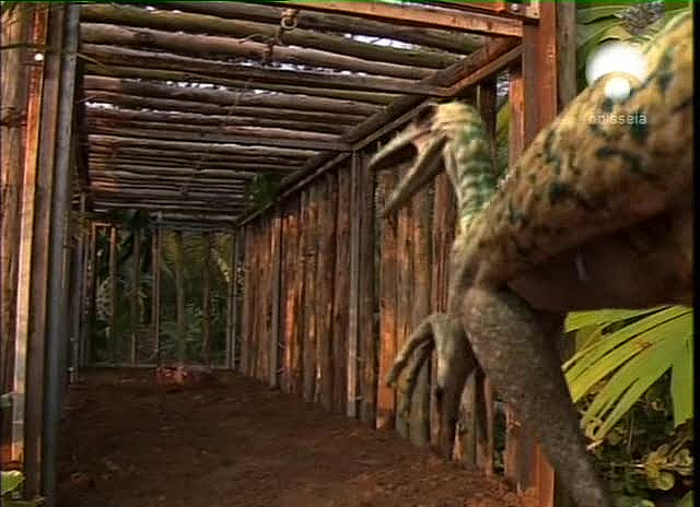 Troodon Captivity Prehistoric Park Wiki Fandom Powered By Wikia