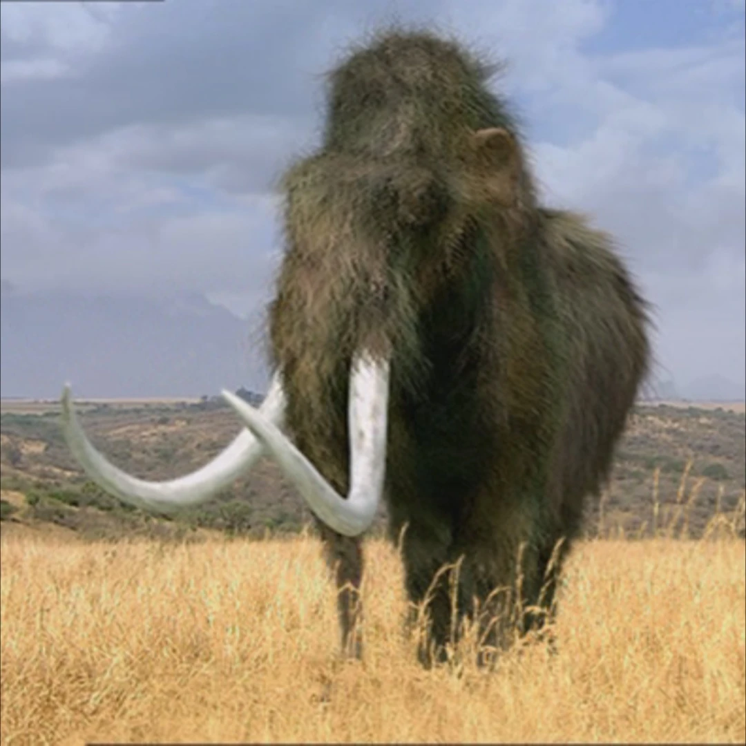 Martha | Prehistoric Park Wiki | Fandom