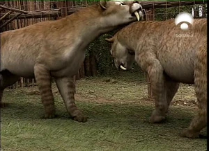 Smilodon | Prehistoric Park Wiki | FANDOM powered by Wikia