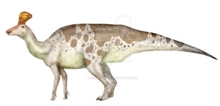 Tsintaosaurus | Paleo Media Wiki | Fandom