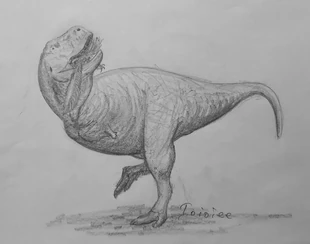 Skorpiovenator | Paleo Media Wiki | Fandom