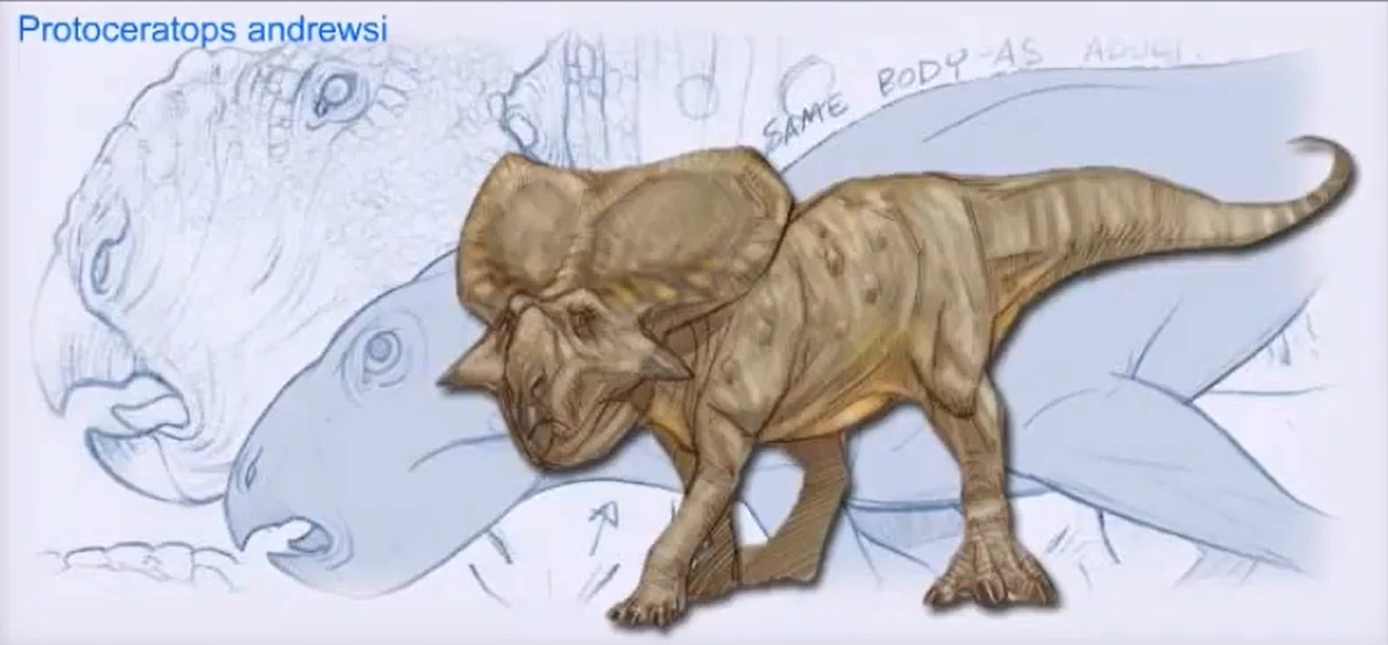 Protoceratops | Paleo Media Wiki | Fandom
