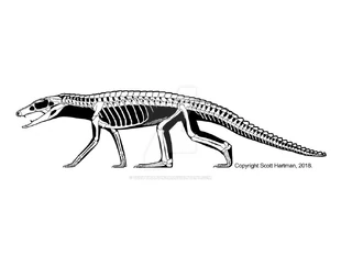 Araripesuchus | Paleo Media Wiki | Fandom