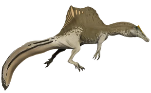 Spinosaurus | Paleo Media Wiki | Fandom