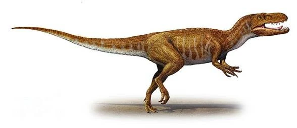 Afrovenator | Paleo Media Wiki | Fandom