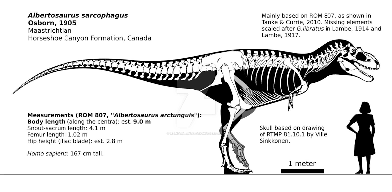 Albertosaurus | Paleo Media Wiki | Fandom