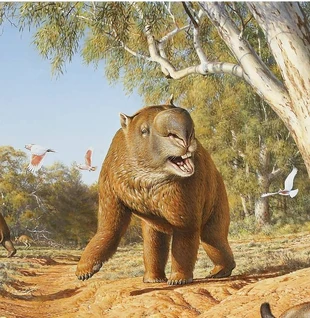 Diprotodon | Paleo Media Wiki | Fandom