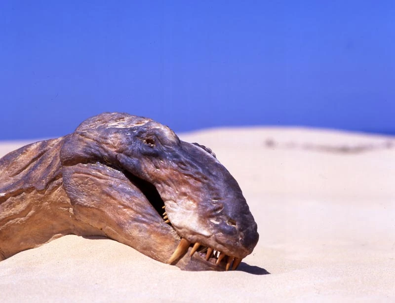 Gorgonops | Paleo Media Wiki | Fandom