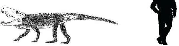 Imagen - Bretesuchus.jpg | Wiki Prehistórico | FANDOM powered by Wikia