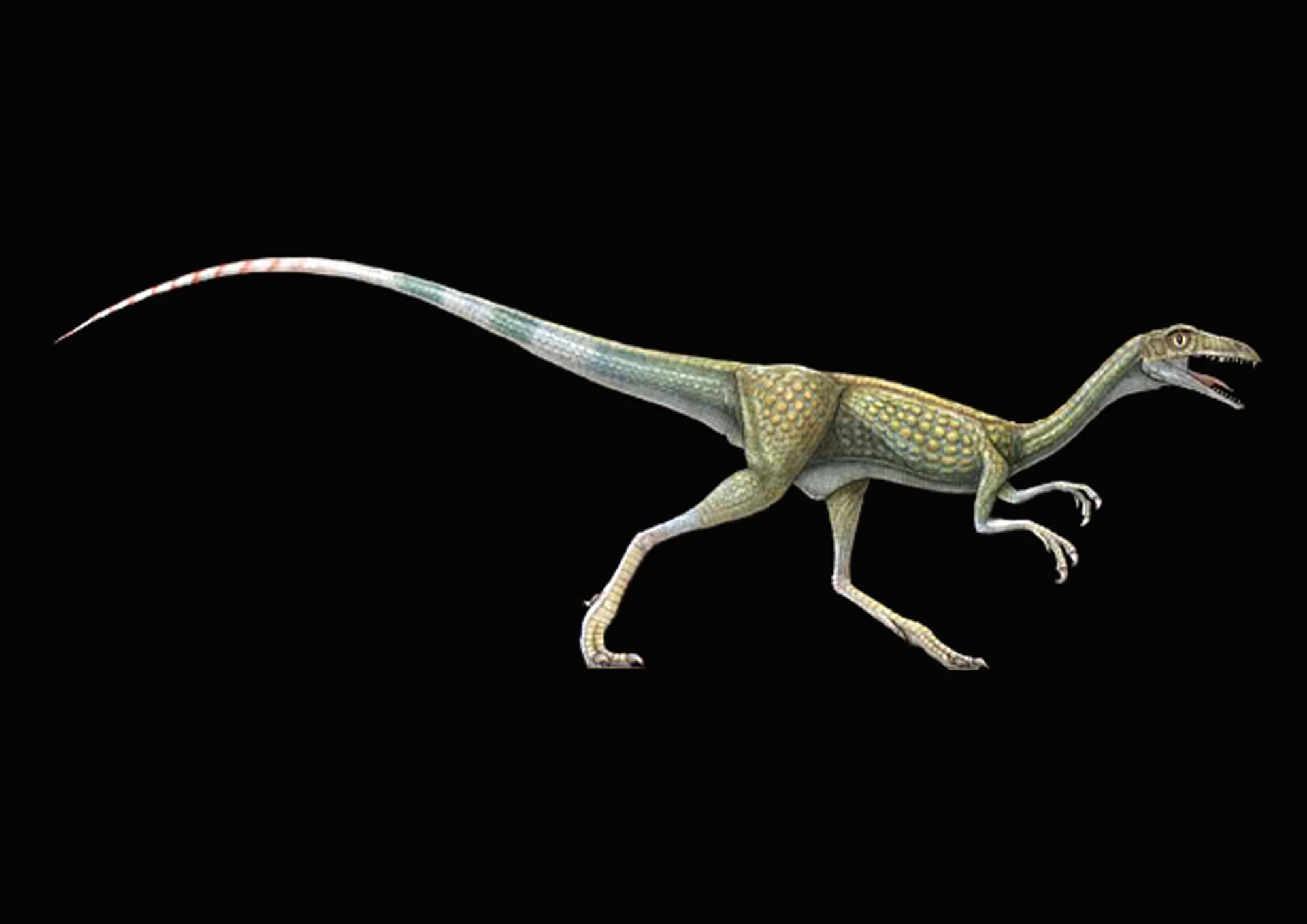 Imagen - Compsognathus taavsd.jpg | Wiki Prehistórico | FANDOM powered ...