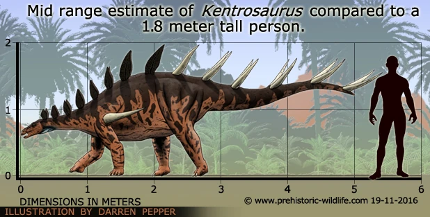 Imagen - Kentrosaurus-size.jpg | Wiki Prehistórico | FANDOM powered by ...