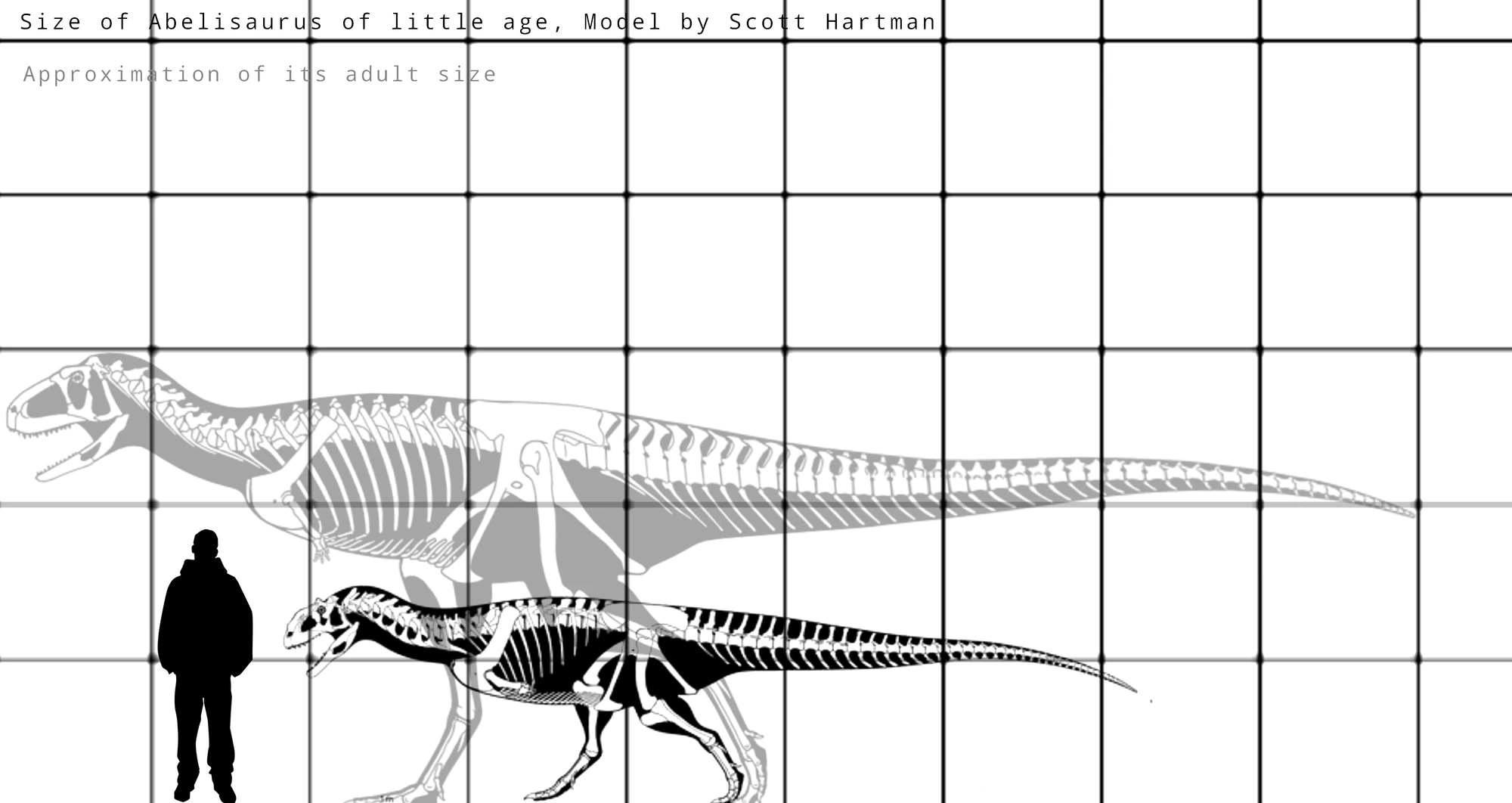 Abelisaurus | Wiki Prehistórico | FANDOM powered by Wikia