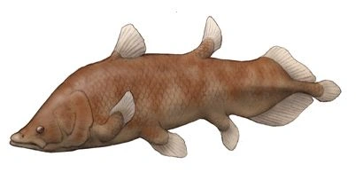 Axelrodichthys | Wiki Prehistórico | Fandom