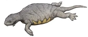 Odontochelys | Wiki Prehistórico | Fandom