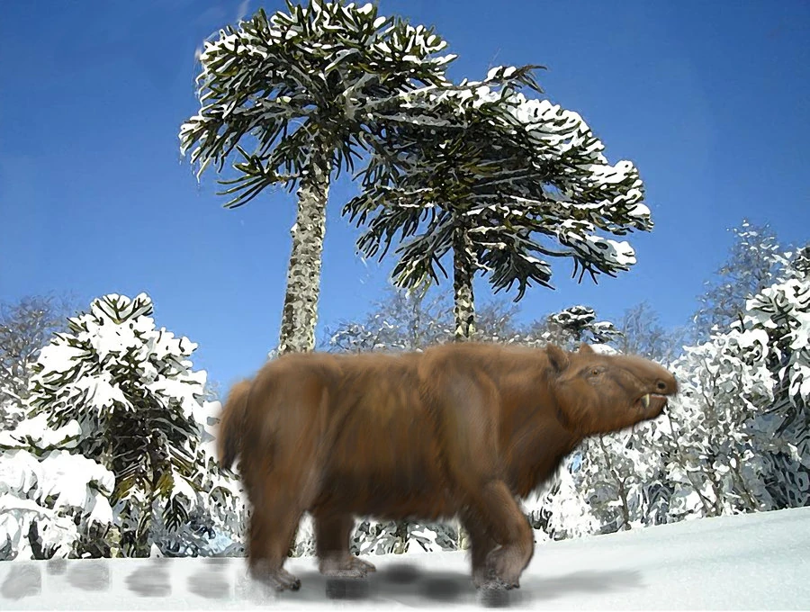 Categoría:Ypresiano de la Antártida | Wiki Prehistórico | FANDOM ...