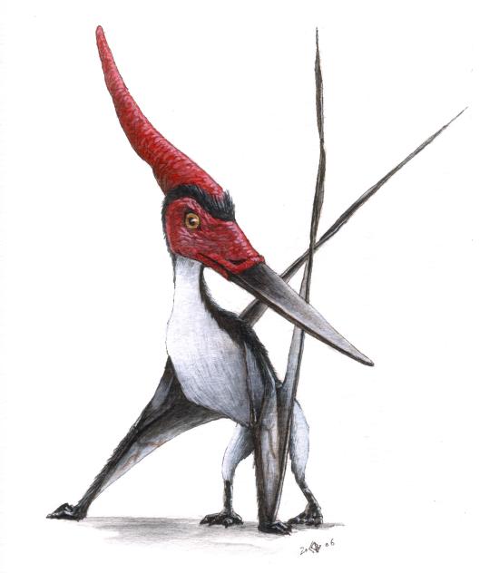 Imagen Pteranodon Wiki Prehistórico Fandom Powered By Wikia