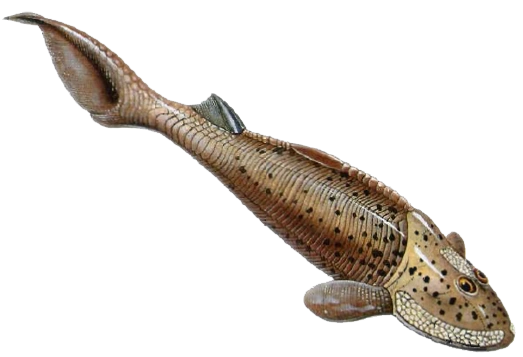 Cephalaspis | Wiki Prehistórico | Fandom