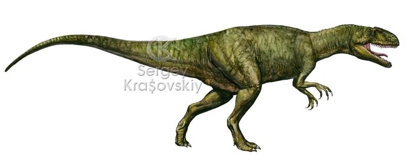 Neovenatoridae Wiki Prehistórico Fandom Powered By Wikia