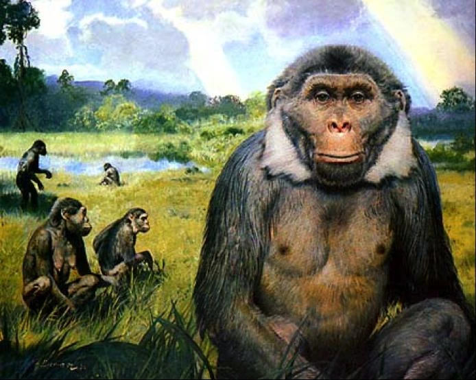 Sivapithecus | Wiki Prehistórico | FANDOM powered by Wikia