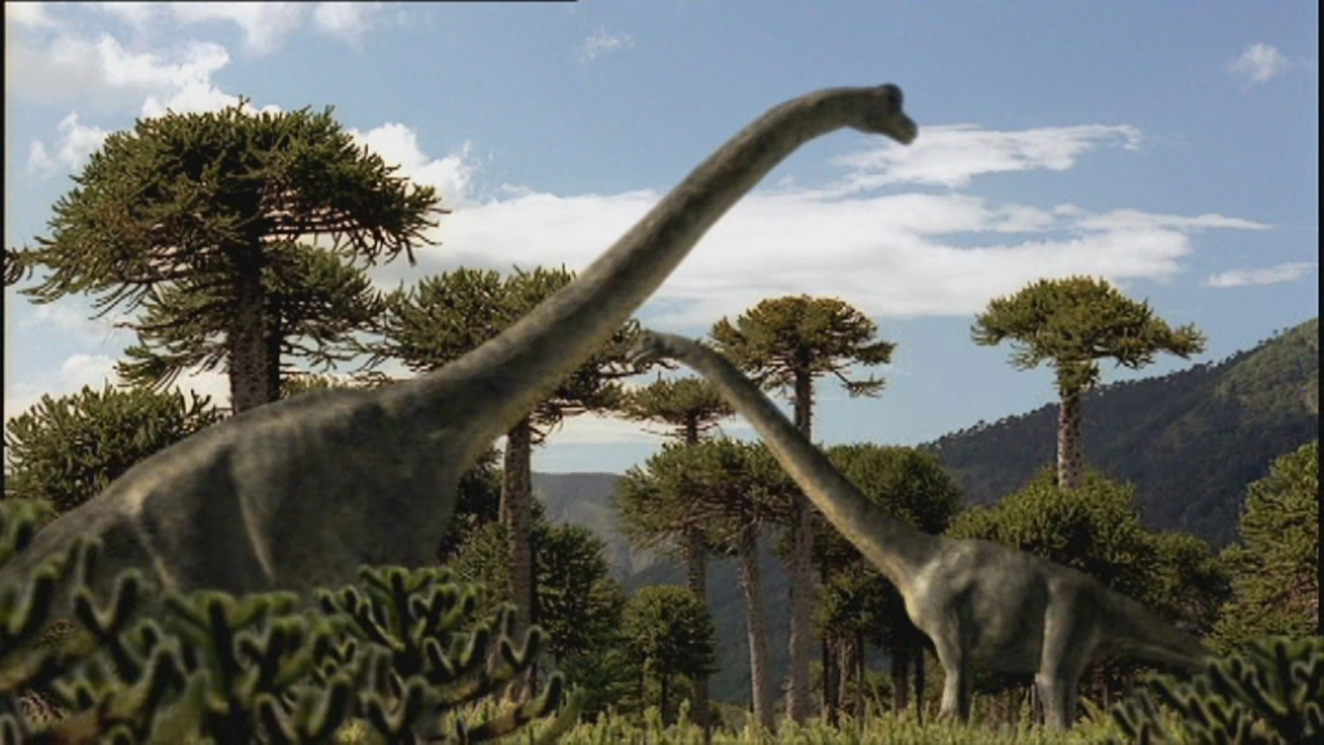 Imagen - WWD1x2 Brachiosaurus.jpg | Wiki Prehistórico | FANDOM powered ...