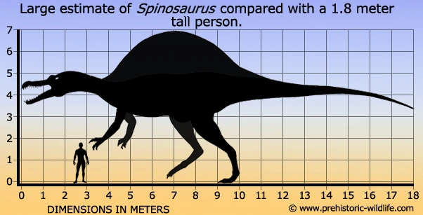 Spinosaurus Size 2014
