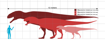 Mapusaurus | Wiki Prehistórico | FANDOM powered by Wikia