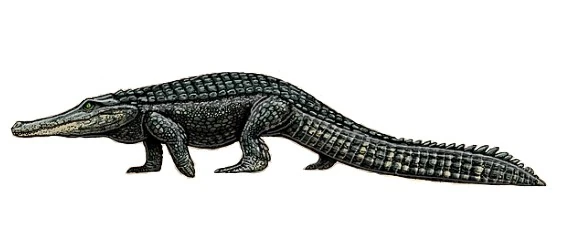 Hyposaurus | Wiki Prehistórico | Fandom