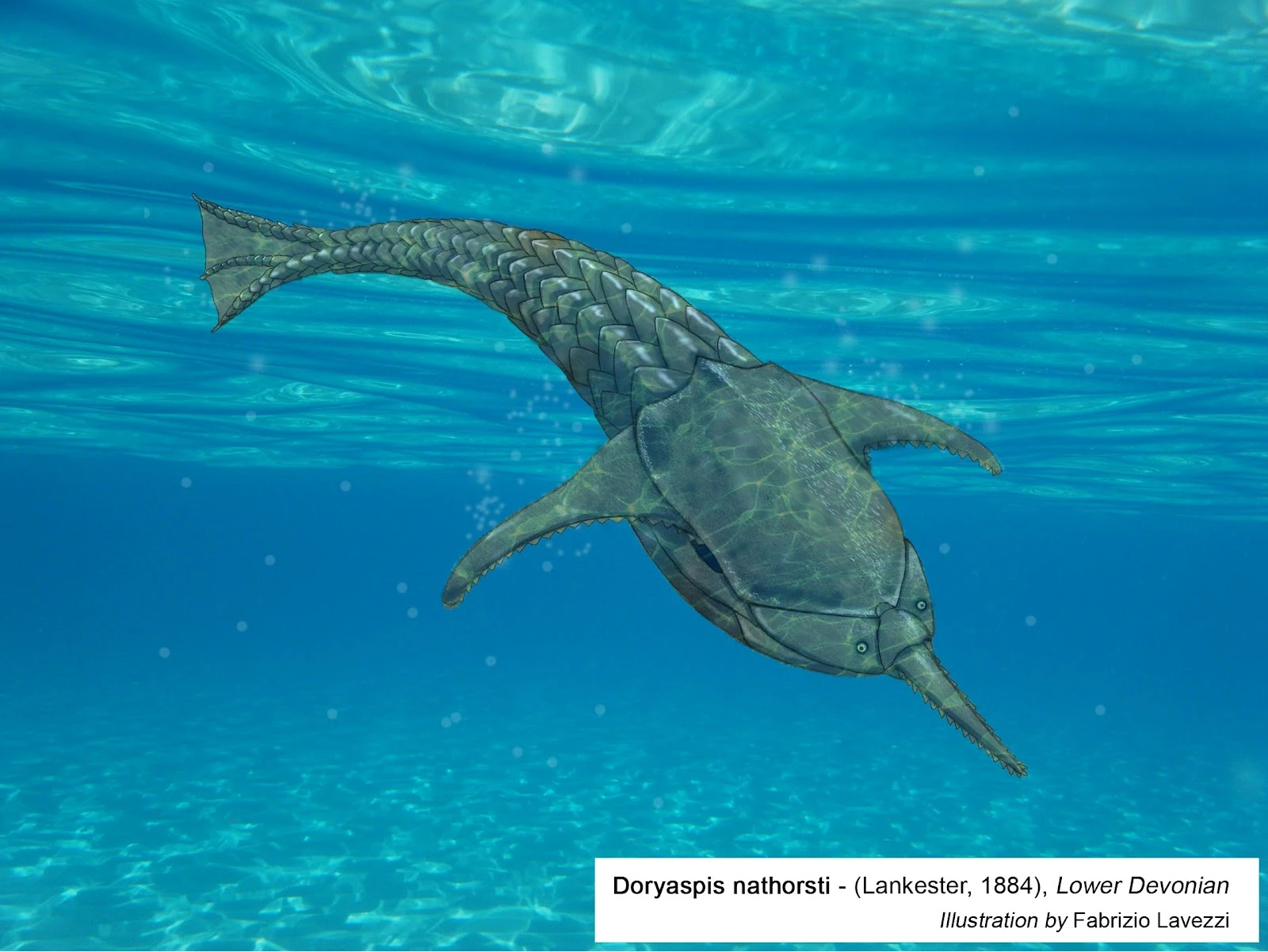 Pragiano | Wiki Prehistórico | Fandom