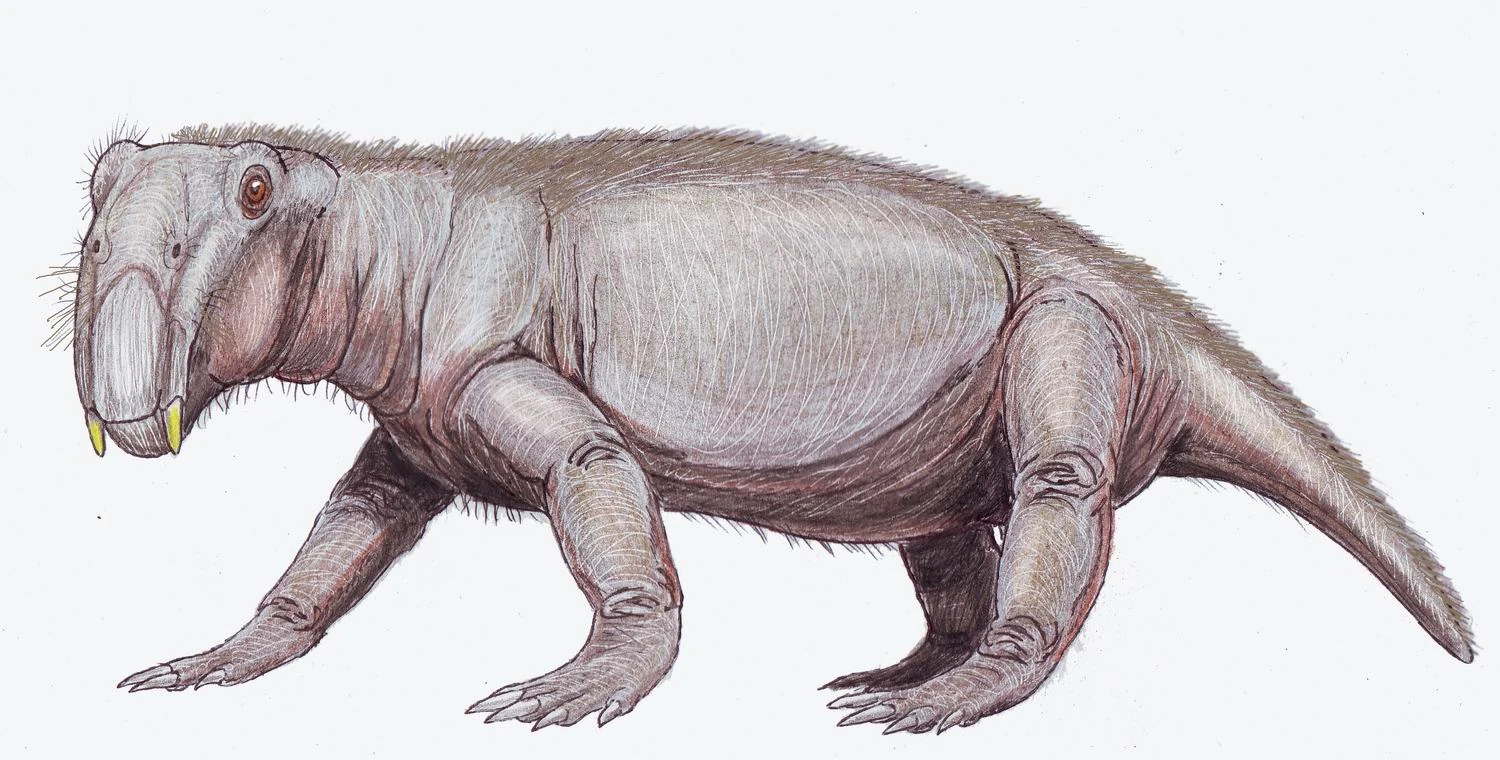 Lystrosaurus | Wiki Prehistórico | FANDOM powered by Wikia