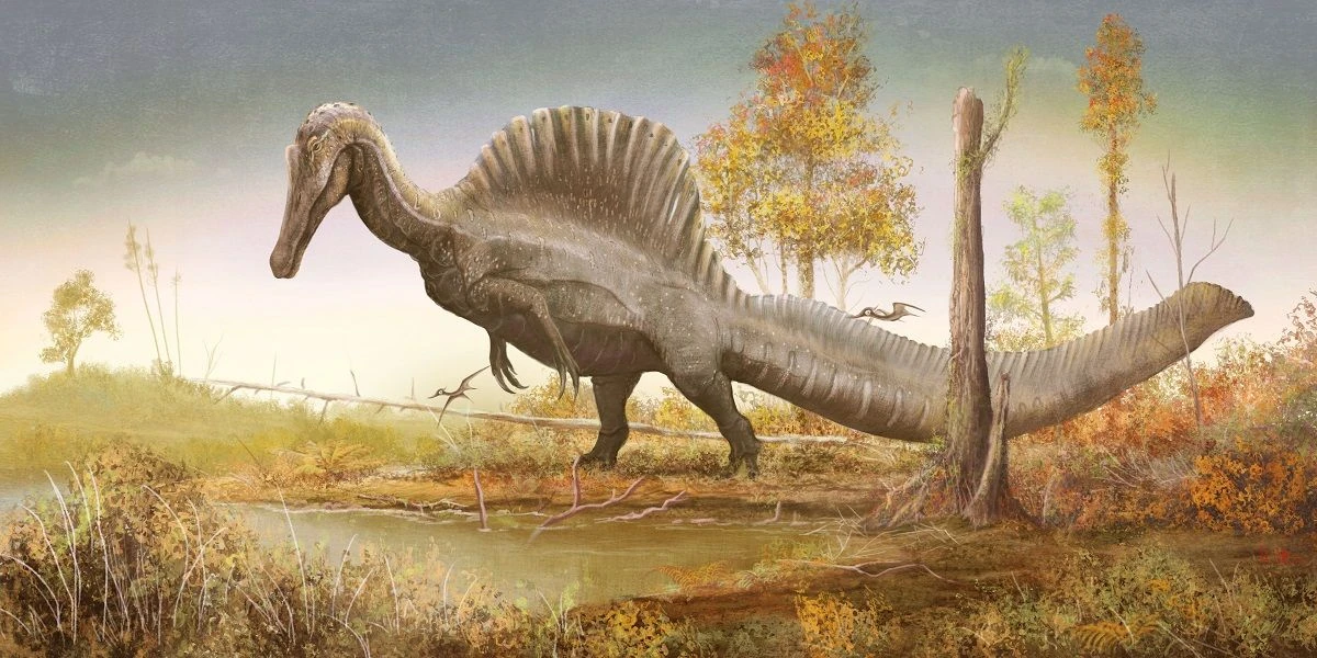 Spinosaurus | Wiki Prehistórico | Fandom