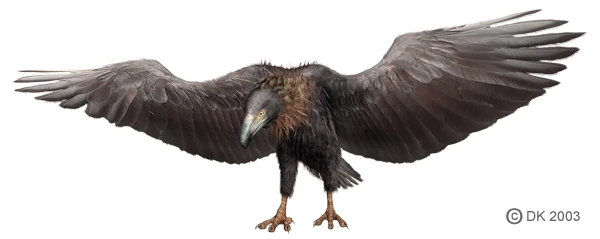 Argentavis | Wiki Prehistórico | Fandom