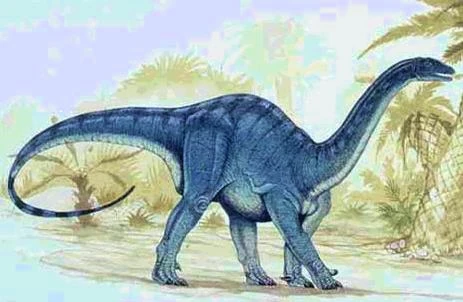 Mussaurus | Wiki Prehistórico | FANDOM powered by Wikia