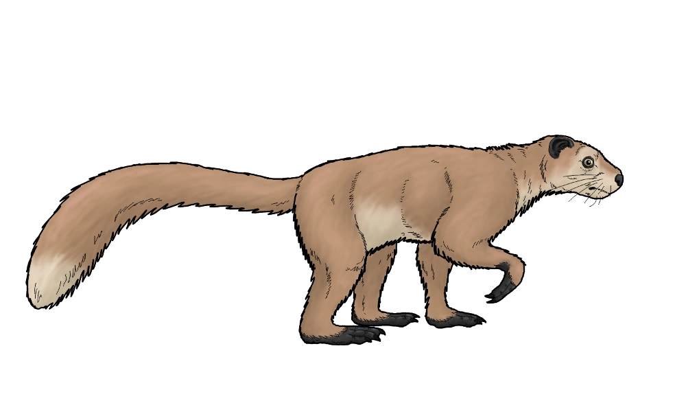 Kopidodon | Wiki Prehistórico | Fandom