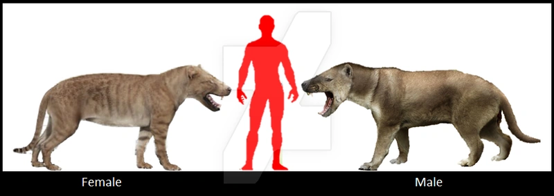 Imagen - Hyaenodon gigas.png | Wiki Prehistórico | FANDOM powered by Wikia